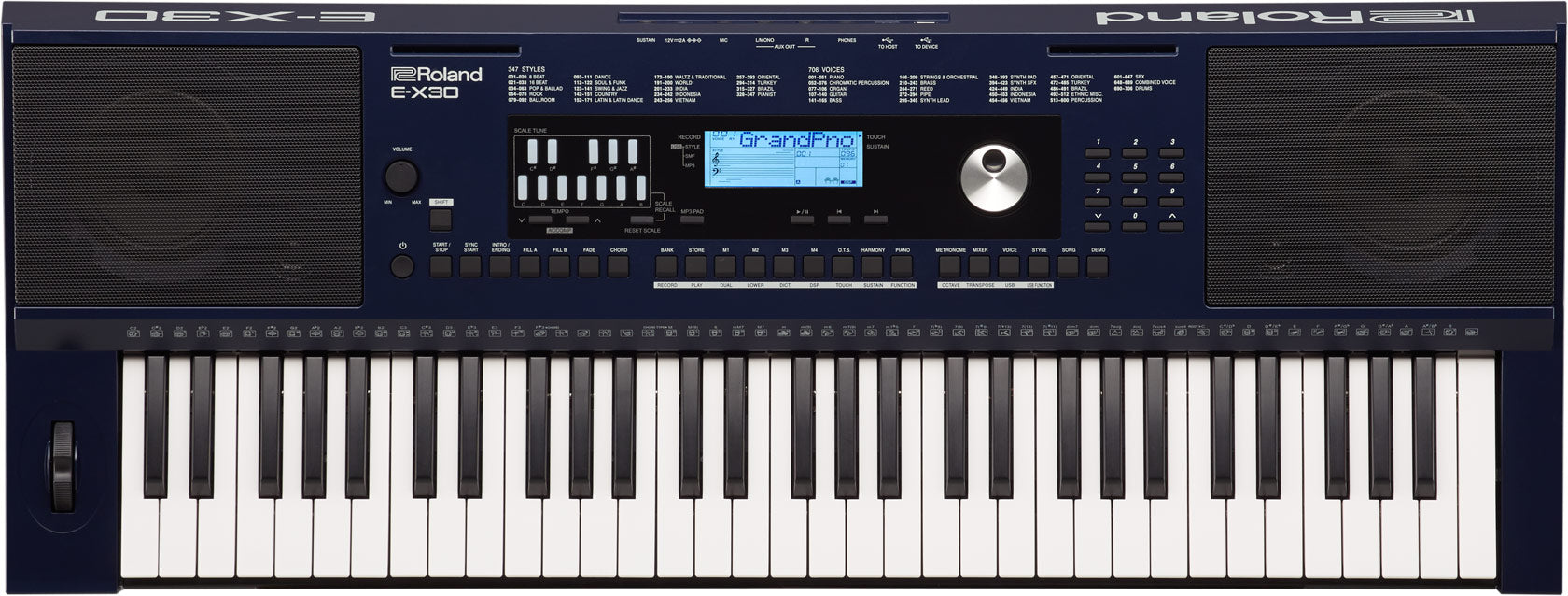 Roland E-X30 Arranger Keyboard - Dark Blue